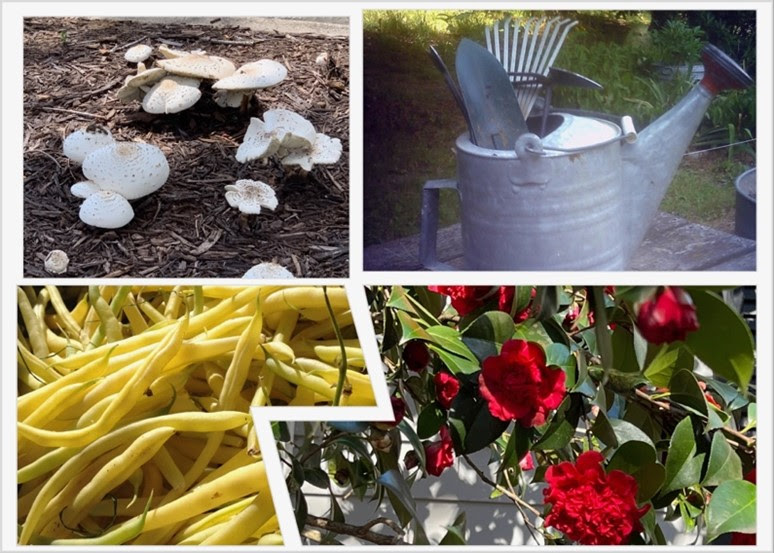 Previous Call for Artists – Mint Hill Arts