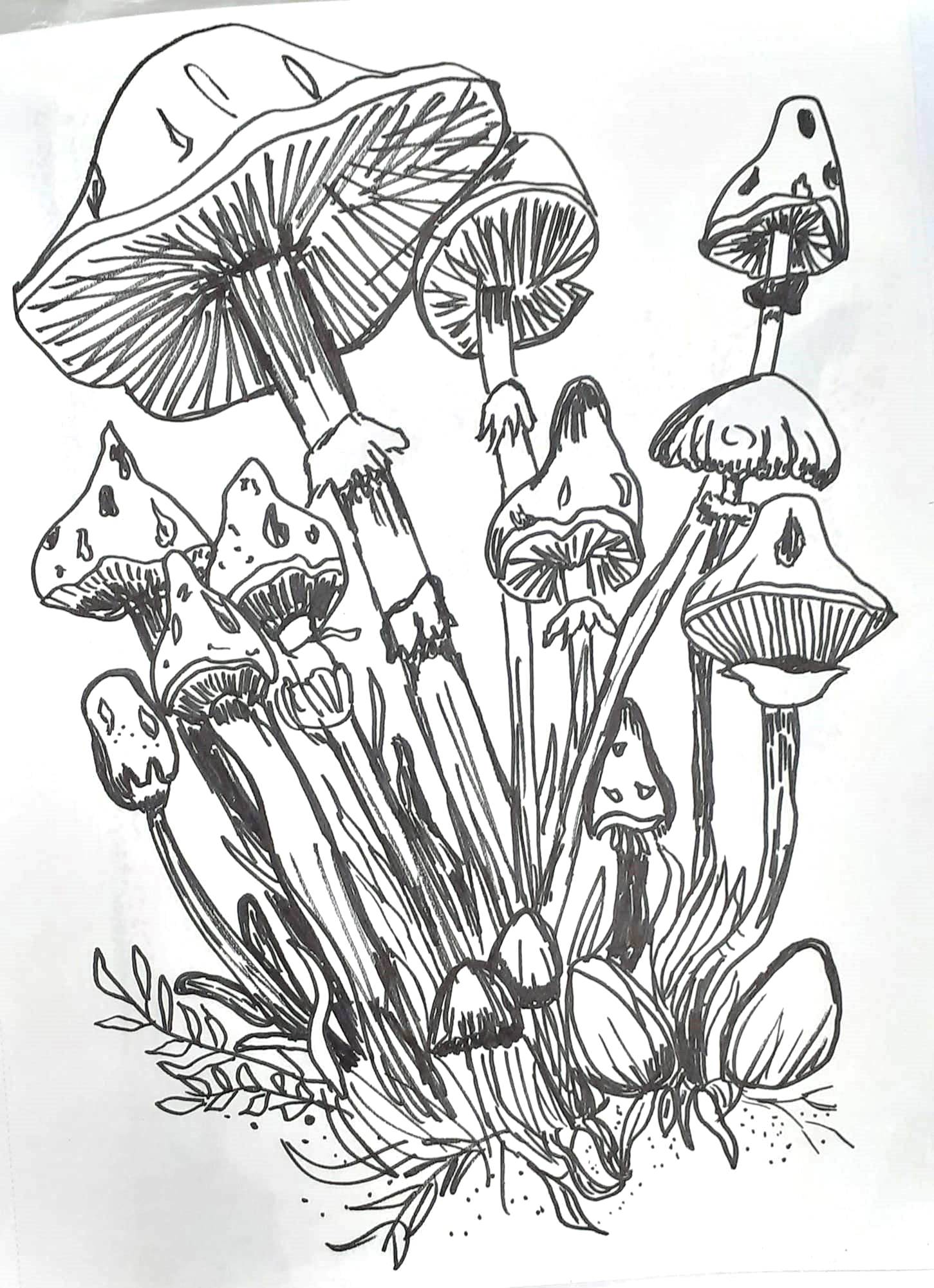 Judy Y Drawing I -1 – Mint Hill Arts