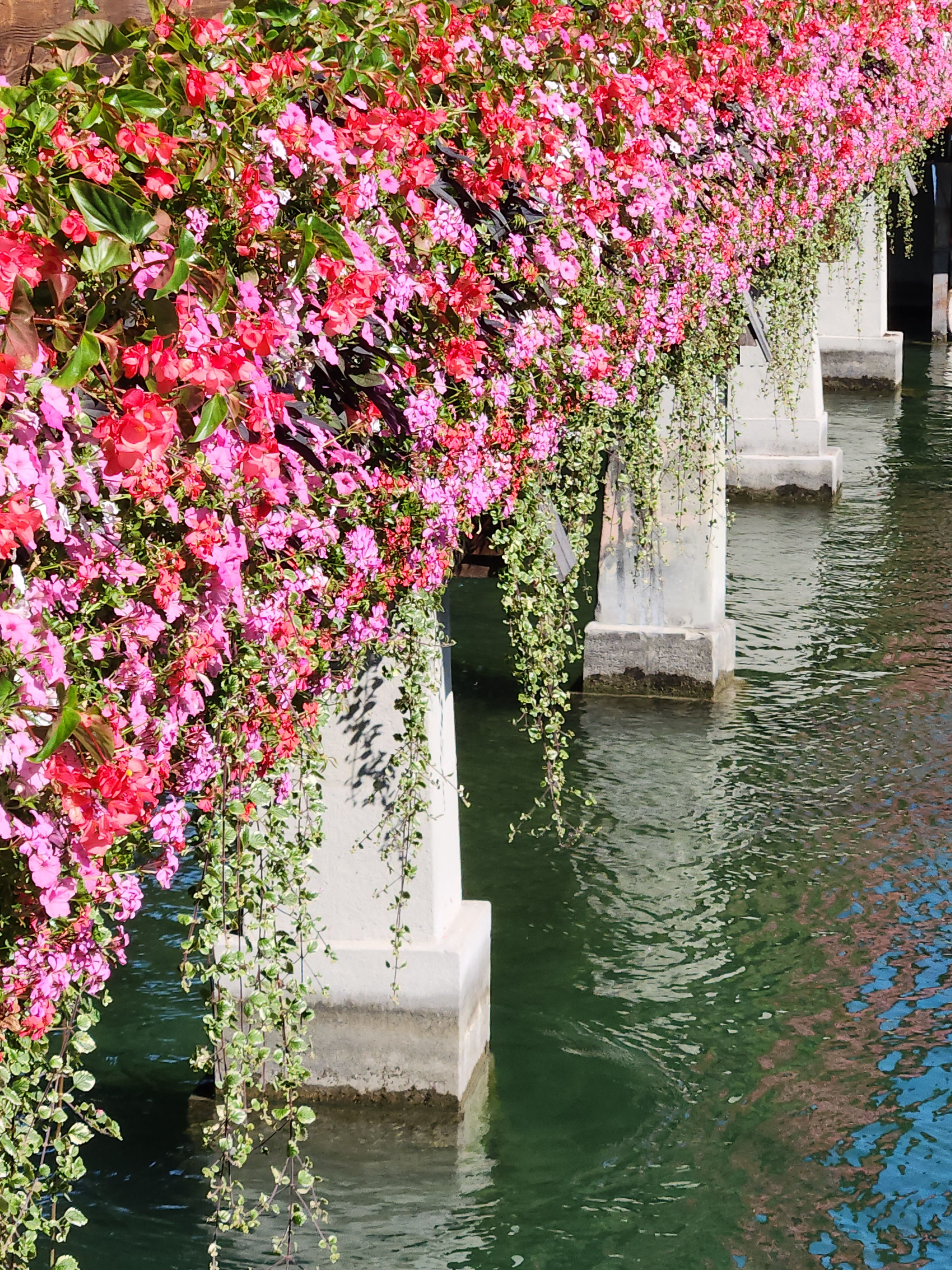 Chapel Bridge Flowers – Cindy Angelelli – Mint Hill Arts